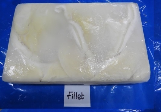 CUTTLEFISH FILLET - BLOCK FROZEN -K V Marine Exports, Chennai