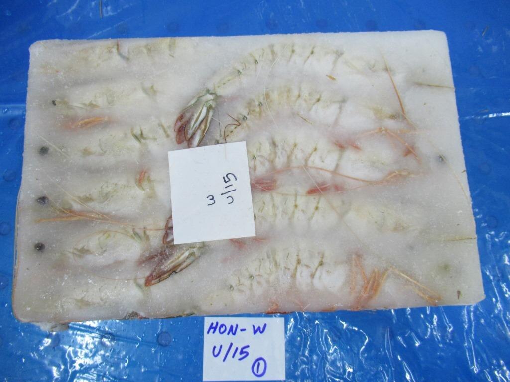 HEAD ON WHITE SHRIMPS/PRAWNS, BLOCK -K V Marine Exports, Chennai