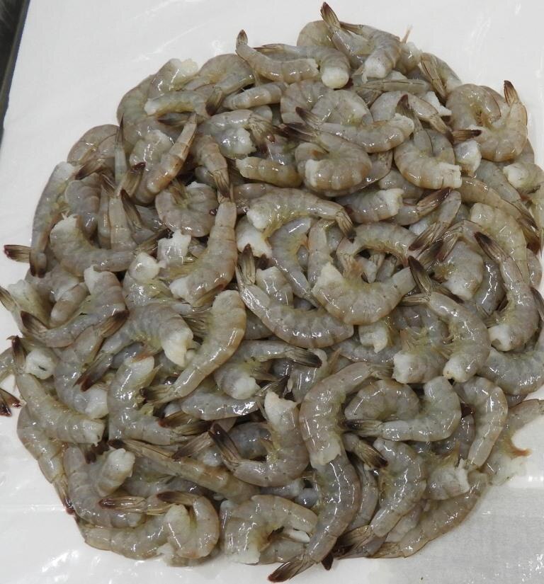 HEADLESS VANNAMEI SHRIMPS & PRAWNS (BLOCK) -K V Marine Exports, Chennai