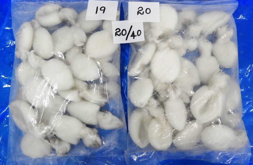 BABY CUTTLEFISH (IQF) -K V Marine Exports, Chennai