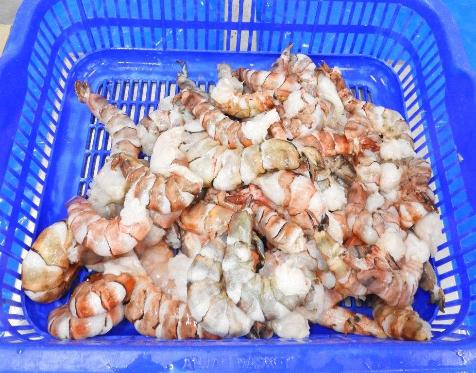 PUD SEA TIGER SHRIMPS & PRAWNS -K V Marine Exports, Chennai